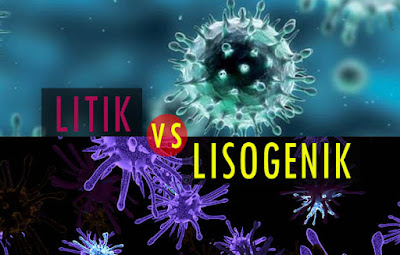 10 Perbedaan Siklus Litik Dan Lisogenik dalam Replikasi Virus