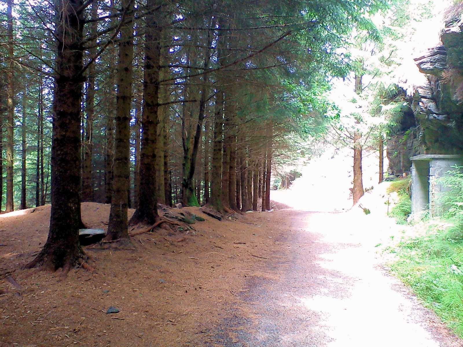 The Bergen blog: World War II legacy at Fjell festning