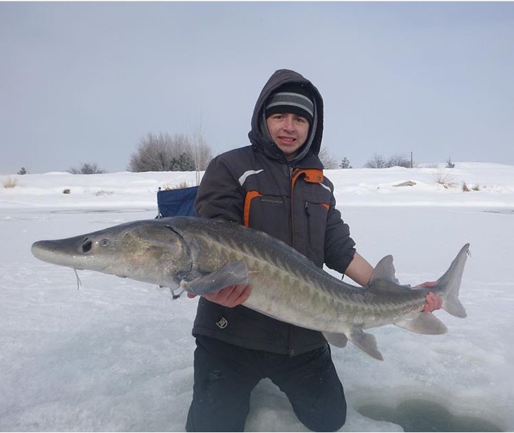 Idaho Pursuit: Sturgeon Through The Ice!!!