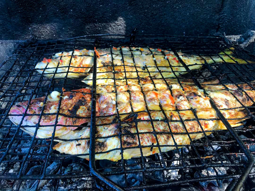 Bribes de vie en Haiti par Gaspard Dorelien : Dans la splendeur d’un ...