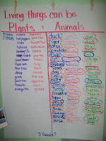 First Grade Rock Stars: Living Things