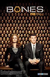 Bones B&B: Sinopse das Temporadas