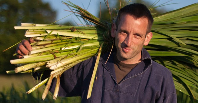 Deeper Voice of Textiles: About Tim Johnson