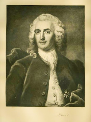 El Huerto de Jose Antonio: Carlos Linneo.