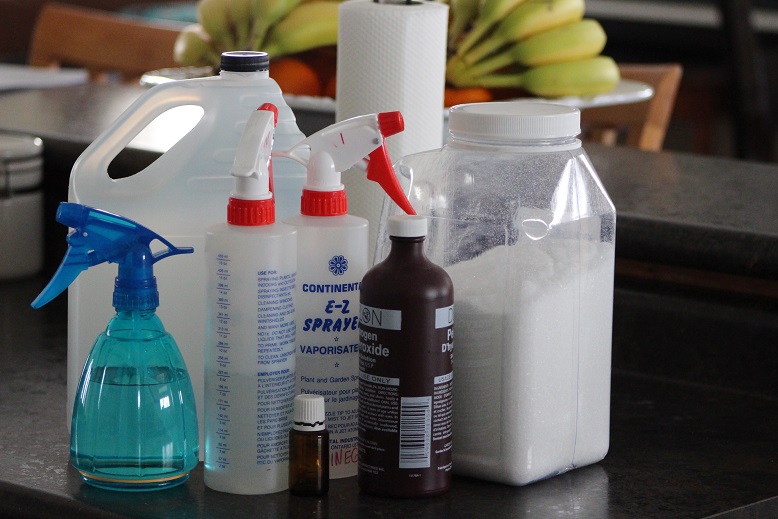 Living Our Lives Well: Easy and Inexpensive Natural Cleaners