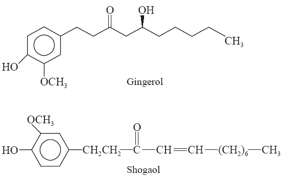 Ginger-Synonyms Gingerin-Zingiber officinale Roscoe, Family: Zingiberaceae