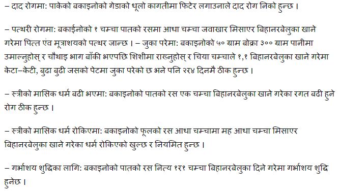 about bakaino tree - Mero Samachar