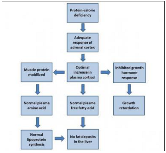 A Review: Malnutrisi Energi Protein Berat