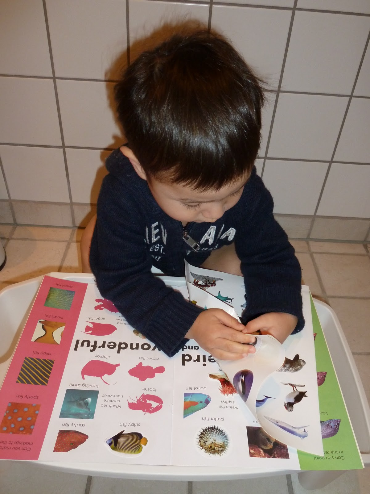 Family FECS: Montessori Activity: Pasting Stickers