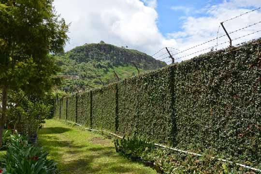 Outbound Team Building dengan Konsep Halaman Kebun di Rumah Bunga ...