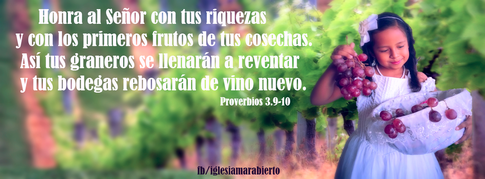 Imagenes de primicias - Mar de Vida Abundante