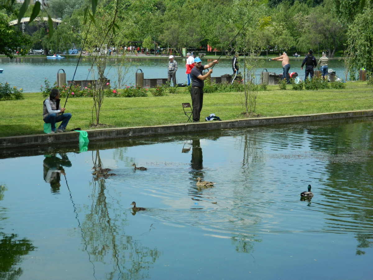LA MULTI ANI, ROMANIA!: La pescuit in parcul IOR