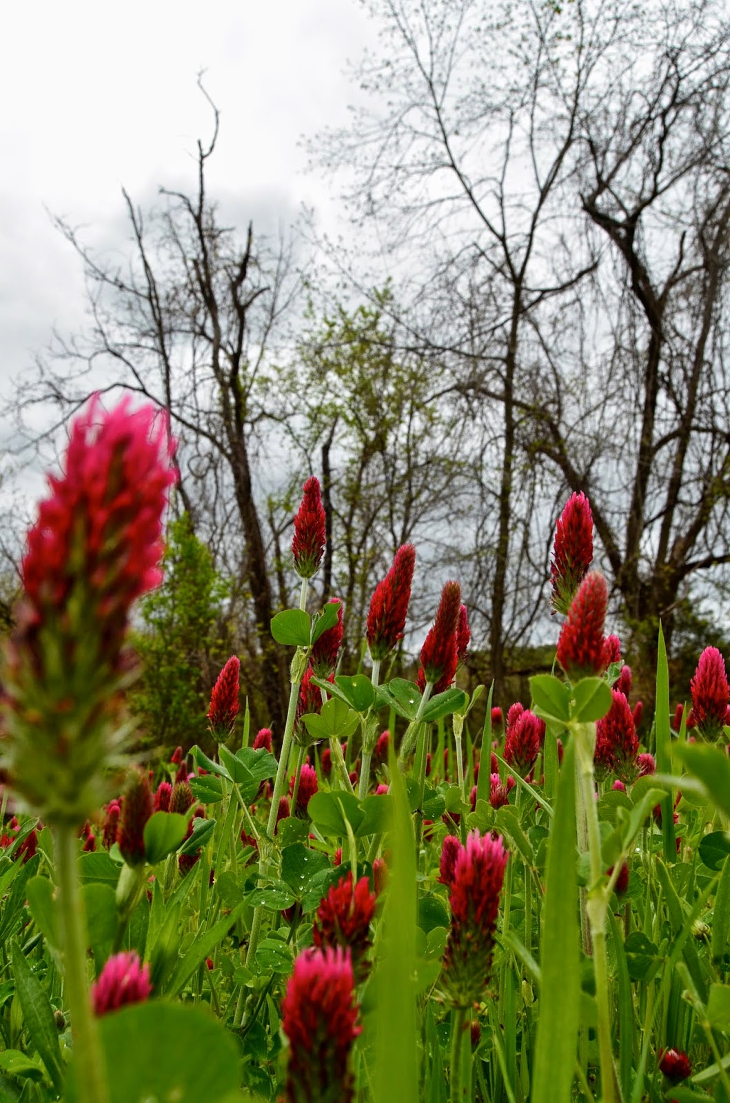 Hiking Daym: Red Prairie