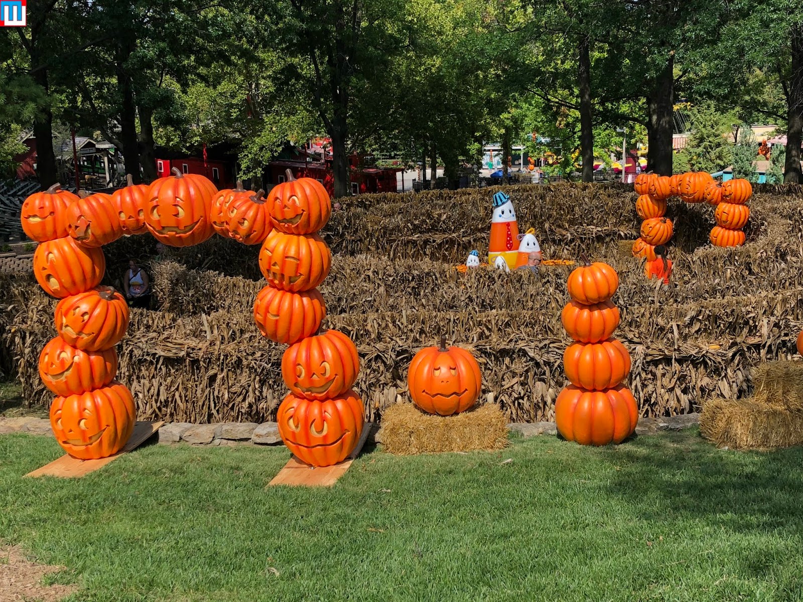 MidwestInfoGuide: The Great Pumpkin Fest (WOF)