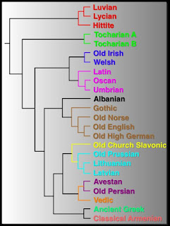 Humerus Revelations of the Naked Ape: Past Tense: The Importance of ...