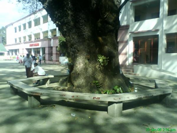 Appreciate, Respect, LOVE: An honor to be part of this School (Rizal ...