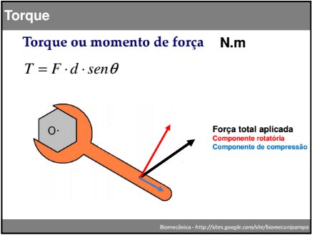 Portfólio Biomecânica: Torque