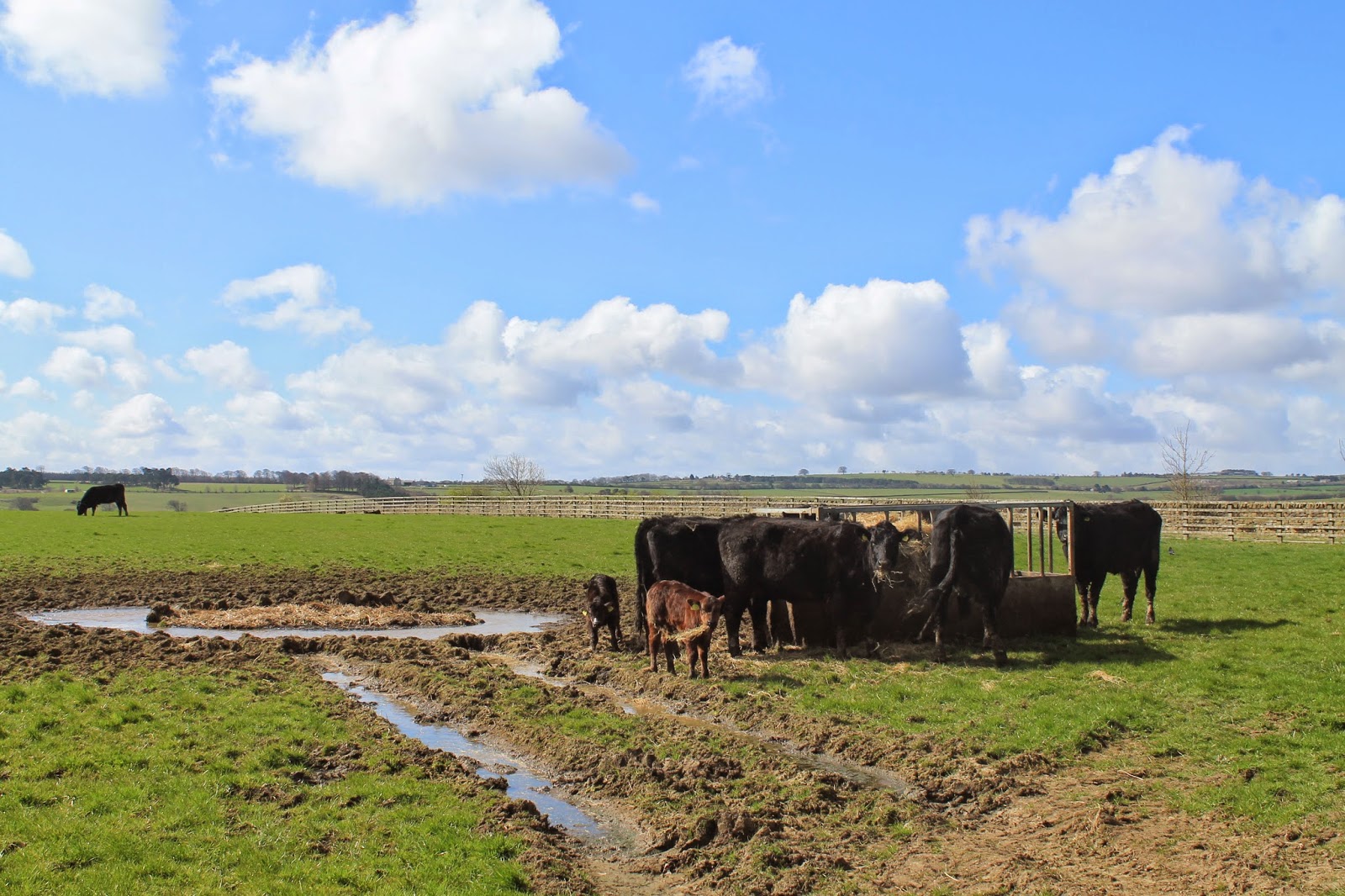 Walking the Chesters: Lanchester to Ebchester - Farm shops, steel and ...