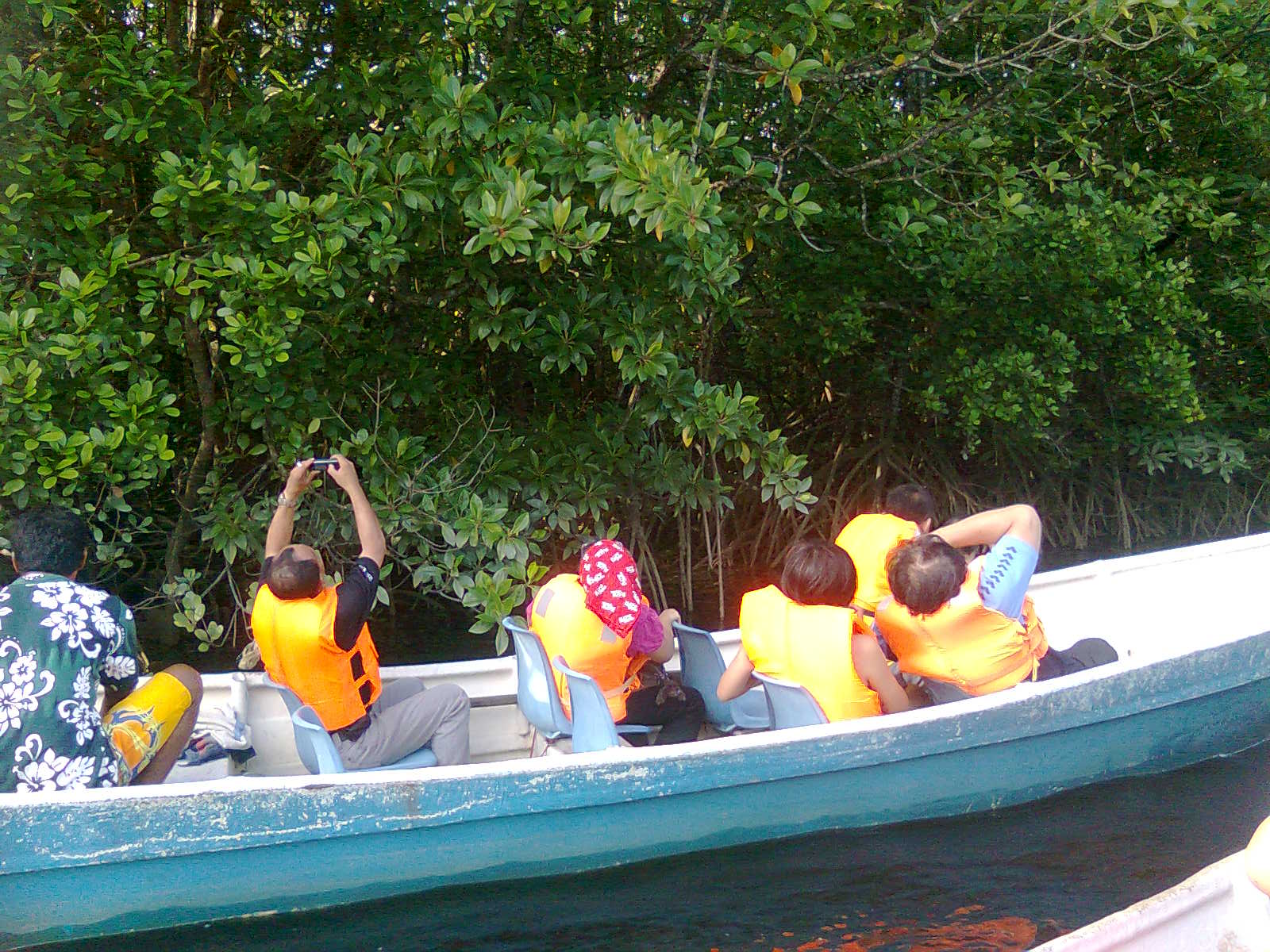 HAFIZ'S CHERATING ACTIVITIES: cherating mangrove river cruise