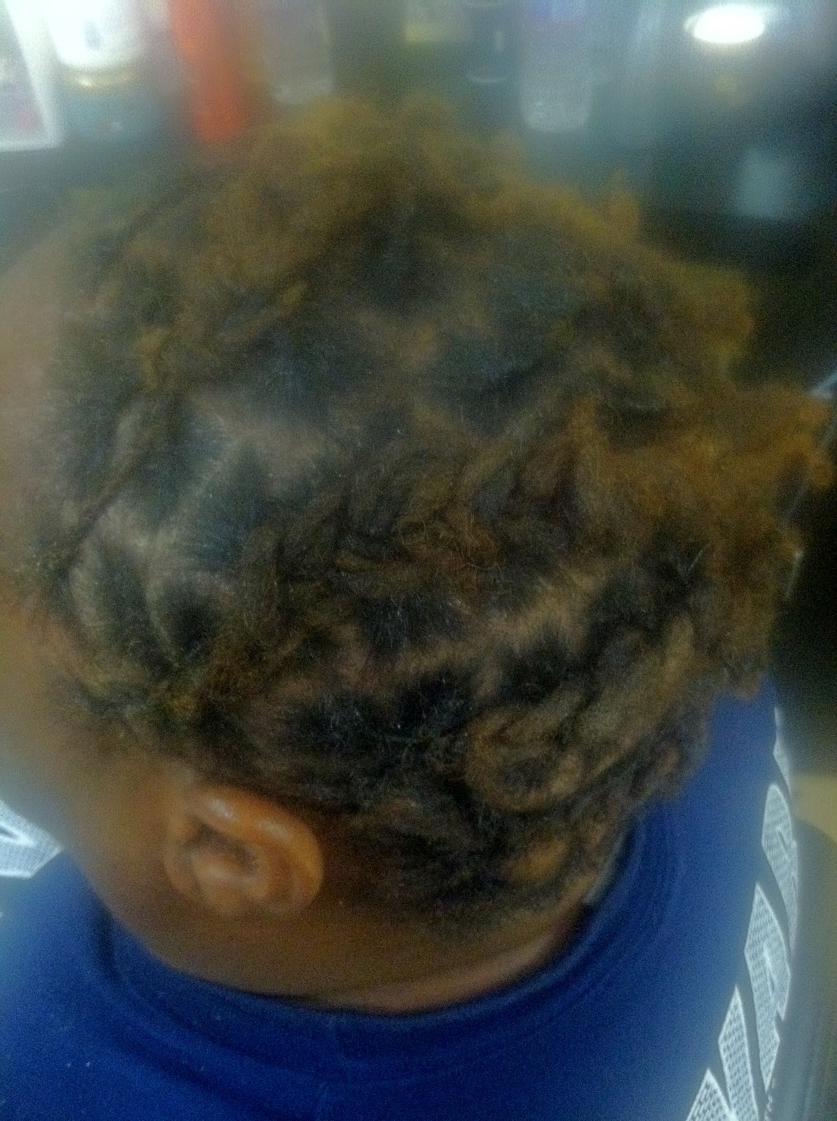 Palm Rolled Locs Style