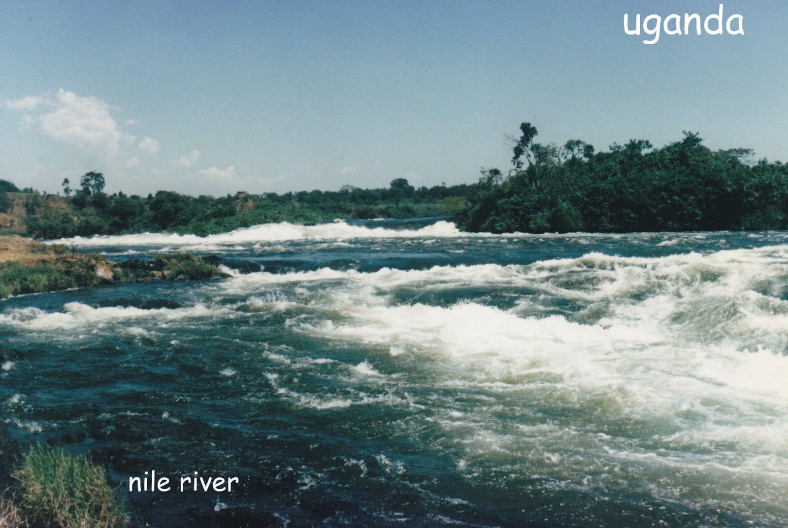 caryjo-roadrunner: PSALM 98:8