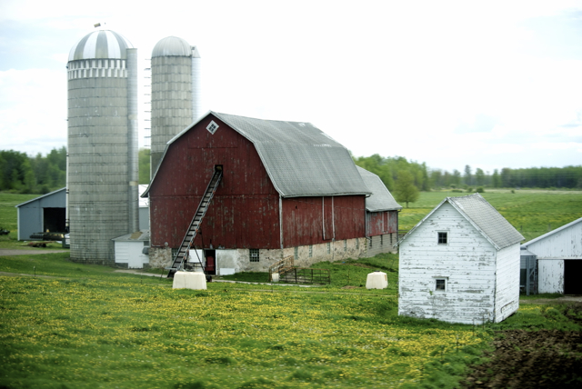 The View Through my Lens: Wisconsin Farms