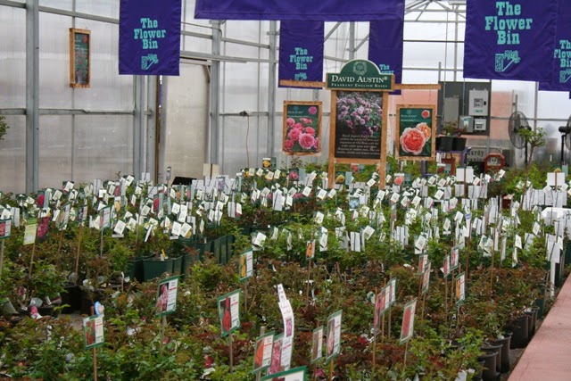 The Flower Bin: April is National Gardening Month