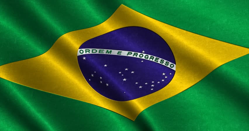 Fluxus.tv: New Brazilian Channels