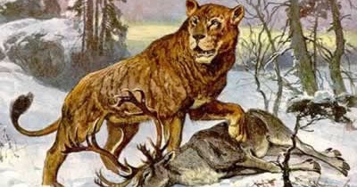Abe's Animals: British and Japanese prehistoric Panthera big cats