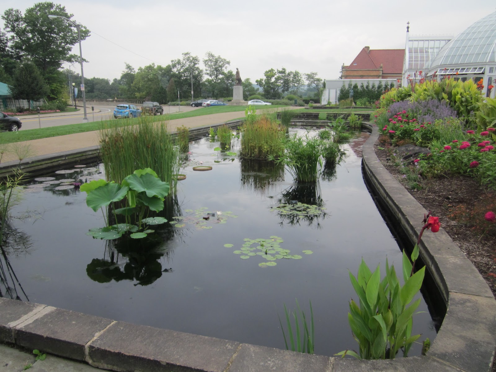Garden Discoveries: Titan of the Pond