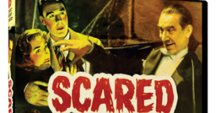 DVD Review - Scared Silly: 13 Classic Horror Comedies - Ramblings of a ...
