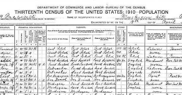 1910 US Federal Census: Martin and Karen Engle | A Huseby Blog