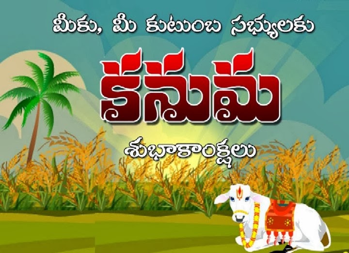 Patamata Praneel: HAPPY KANUMA FESTIVAL
