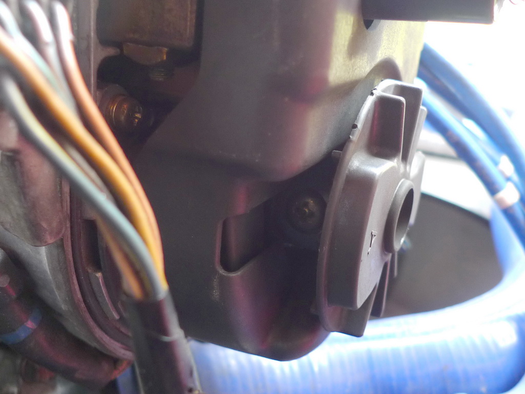 Honda CIVIC EG6: Distributor Cap and Rotor Swap