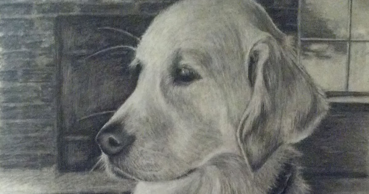 Sandy Bock: Portraits from the past year!