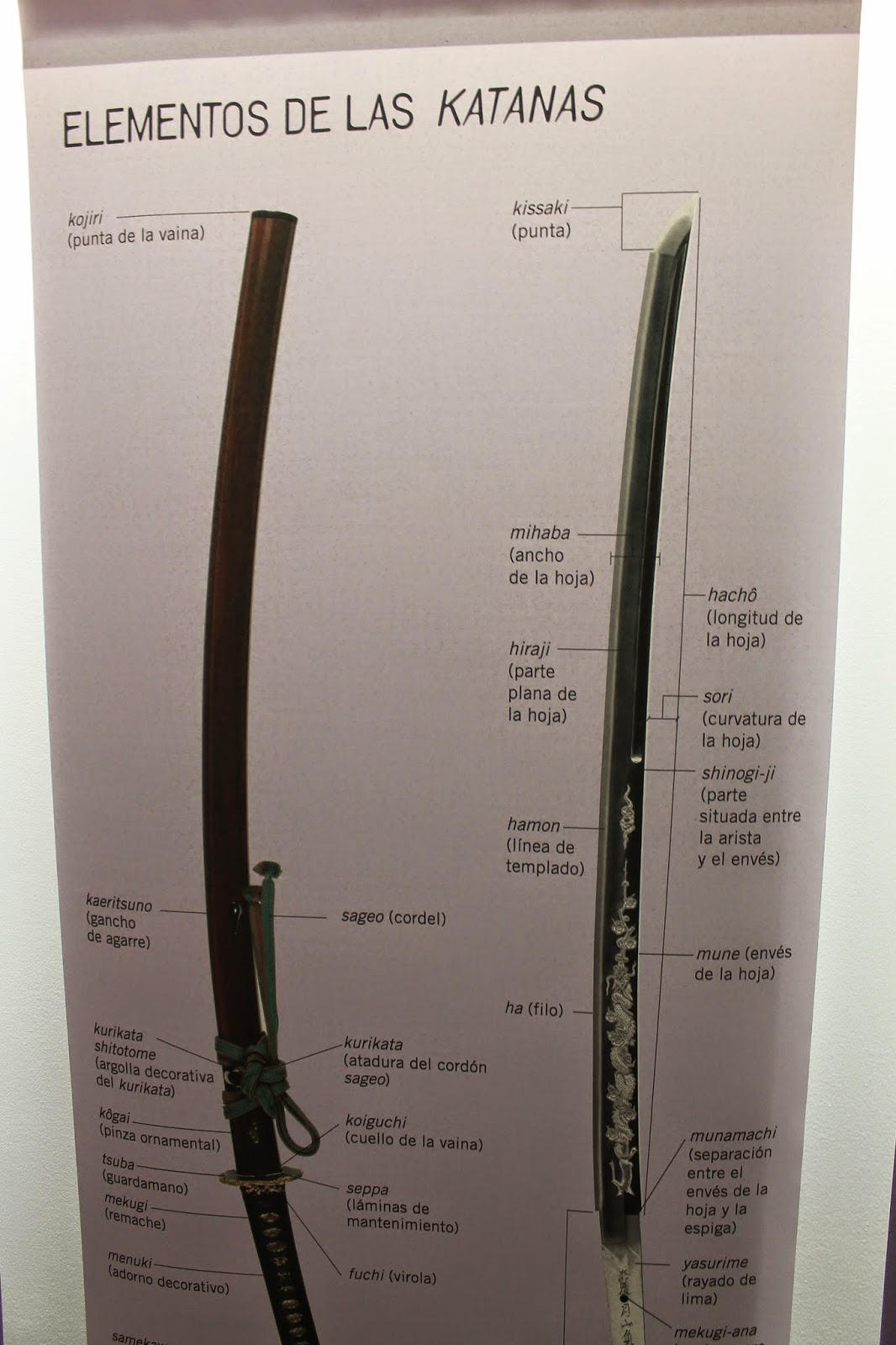 Caballero de Castilla: Evangelion y las katanas japonesas