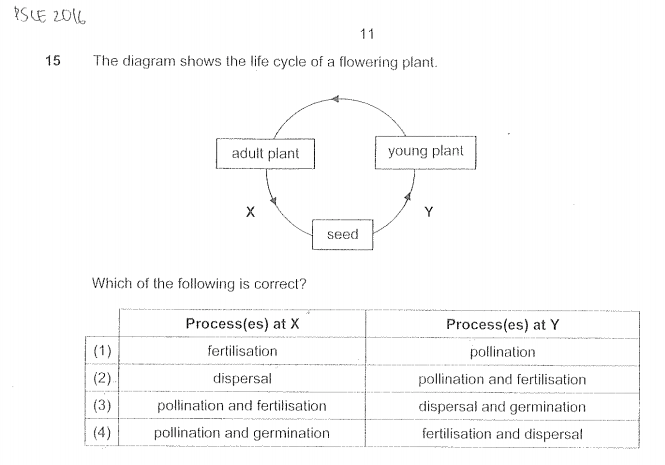 Answers to PSLE Questions
