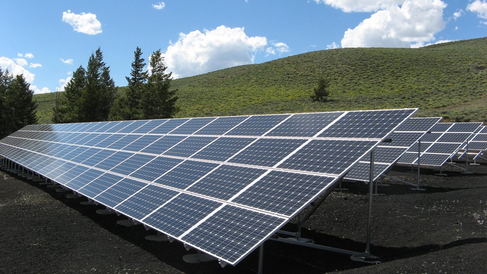 Zenobe Energy Limited Take A Look About Different Types Of Renewable zenobe-energy-limited-take-a-look-about-different-types-of-renewable