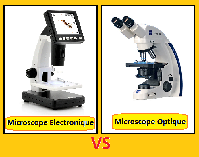 Le Microscope électronique VS Optique. - Études Supérieures Physique