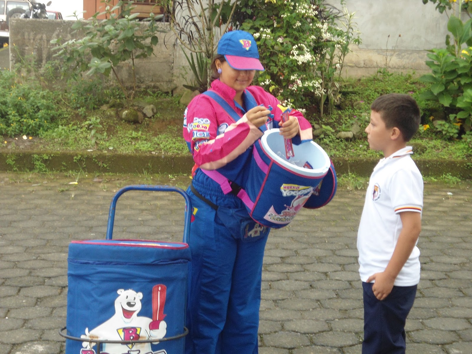 micro empresa bonice