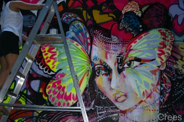 Street Art: 5 Questions with Shannon Crees