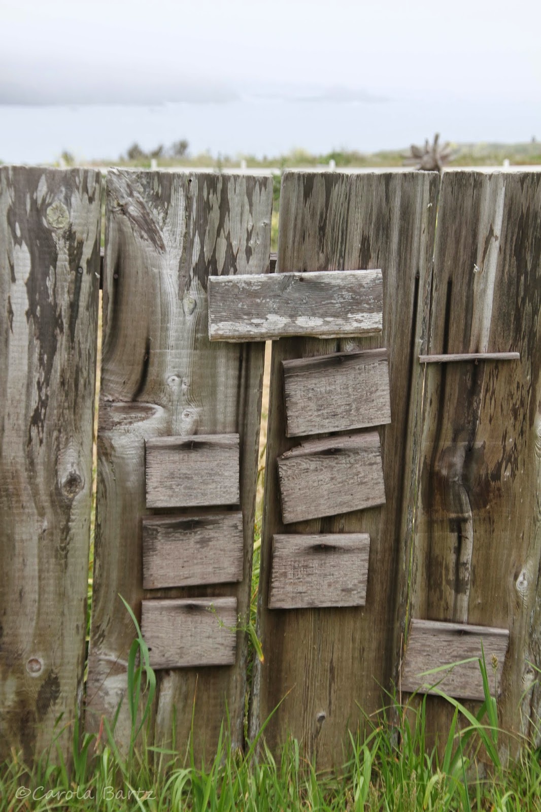 carola bARTz: Mendocino Fences Part 2