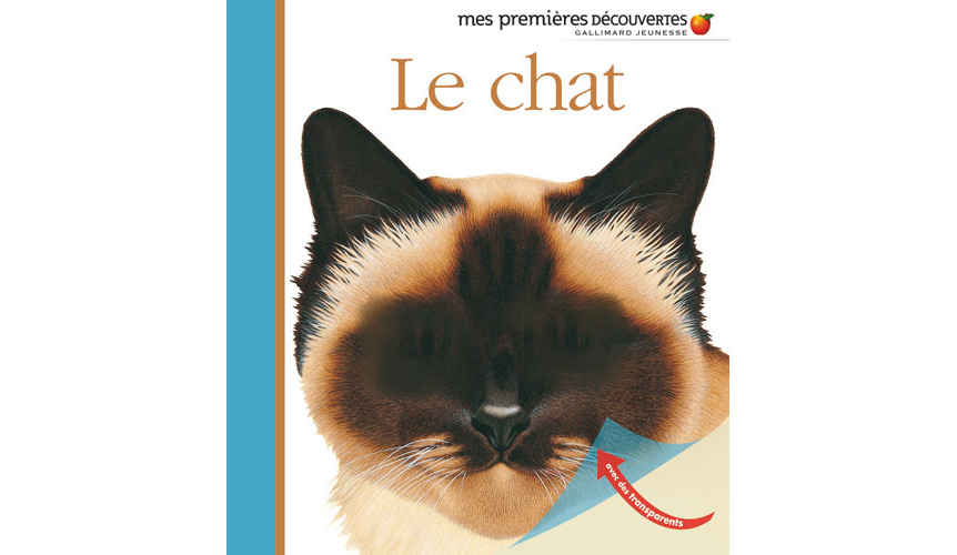 Documentaire sur les chats