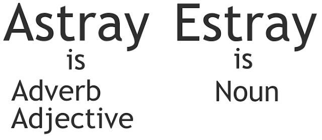 Astray Vs Estray. What is the difference between them? - Make Your ...