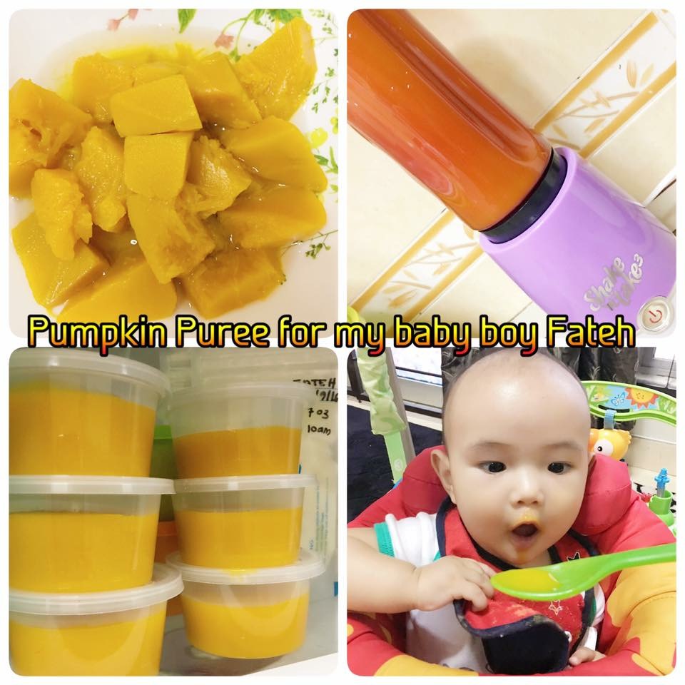 Fila Territory ~ Color The World: Baby Puree - Makanan tambahan bayi ...