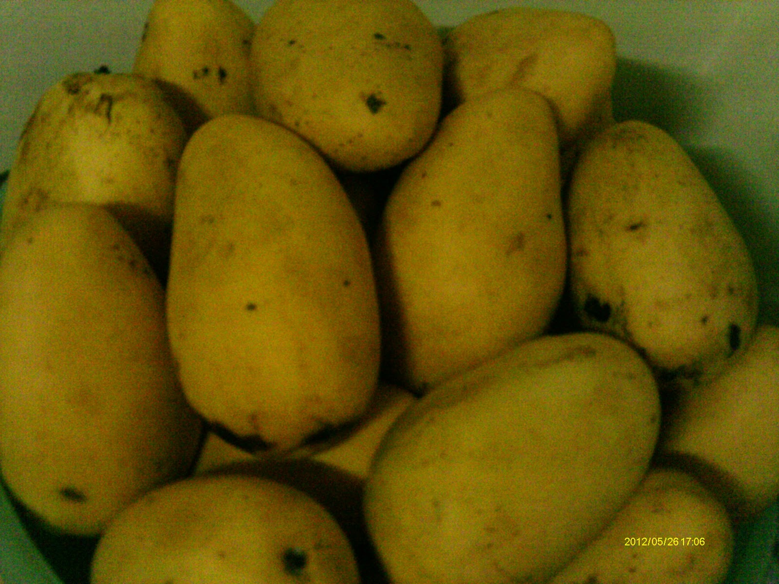 Athena's Blog: FRUITS