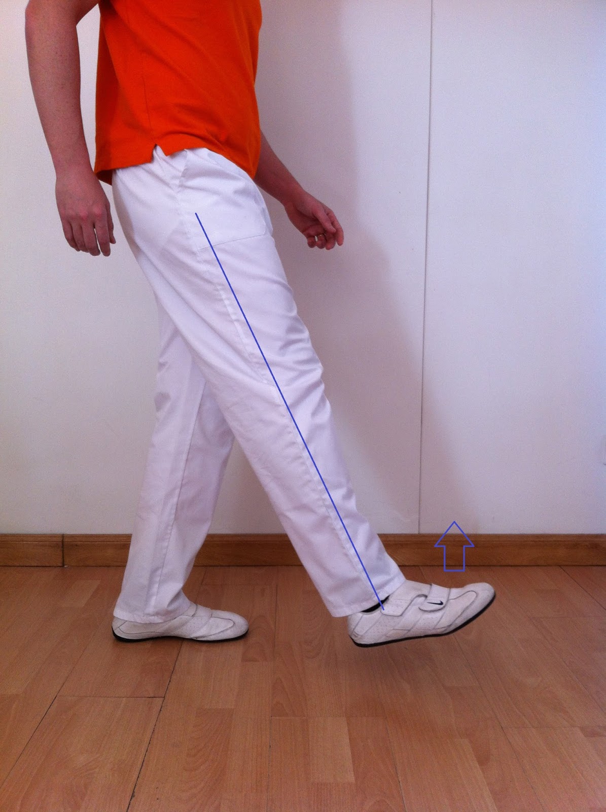 Víctor Ortega FISIOTERAPEUTA: FASES DE LA MARCHA