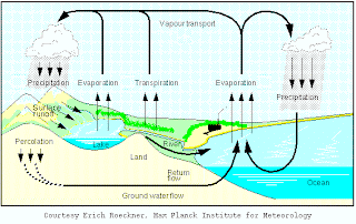 Clouds: What Causes Cloud Formation?