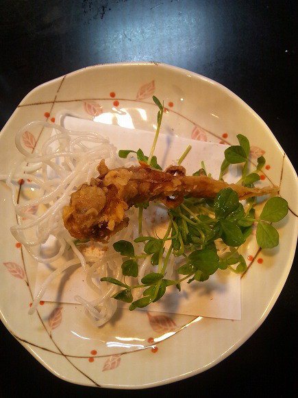 OMG : Axolotis, Ikan Yang Boleh Berjalan Sebelum VS Selepas Dimasak (8 ...