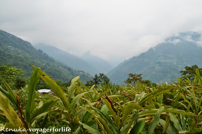 Darap Village – A Sneak Peek Into A Fantasy World - Voyager For Life